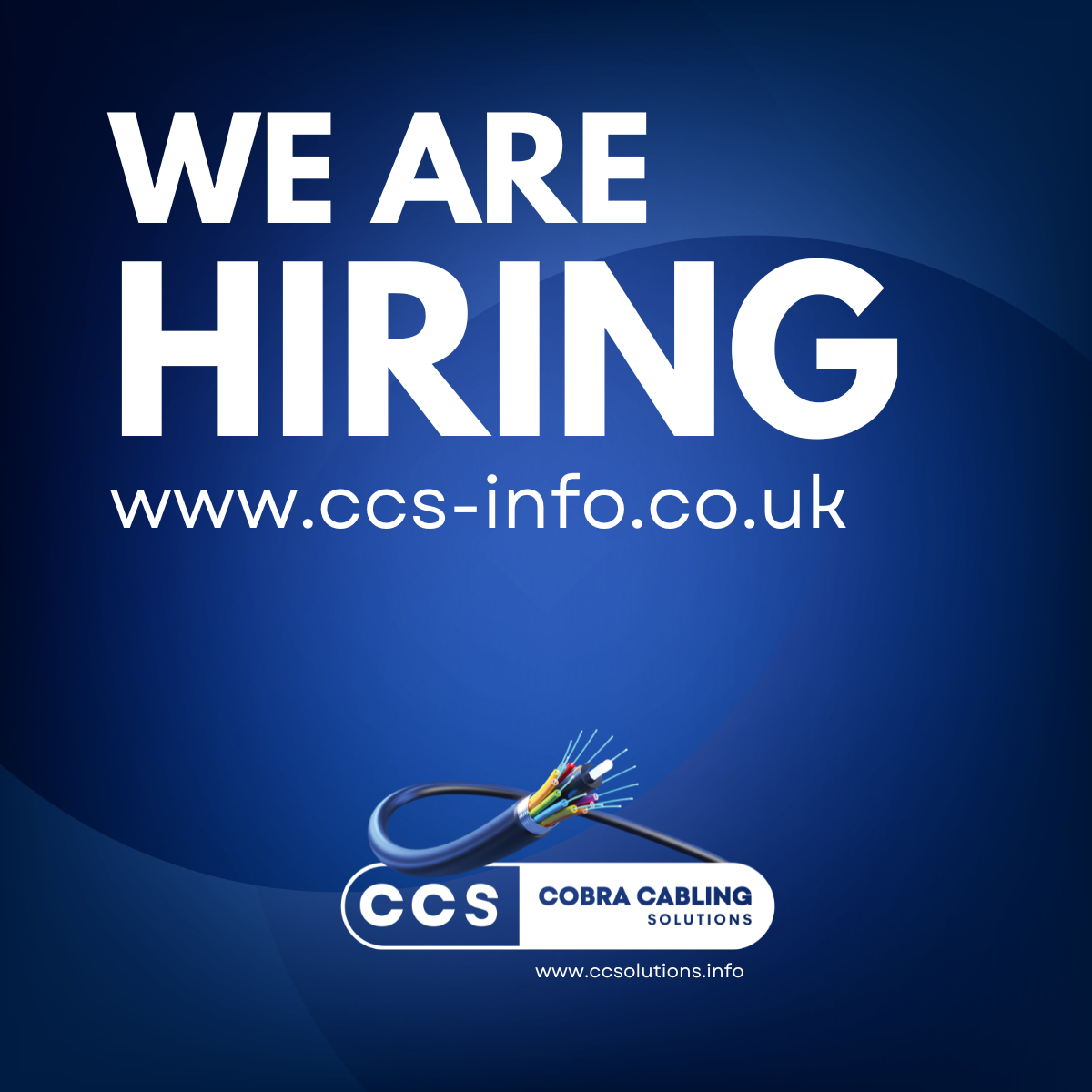 Cobra Cabling Solutions Ltd.